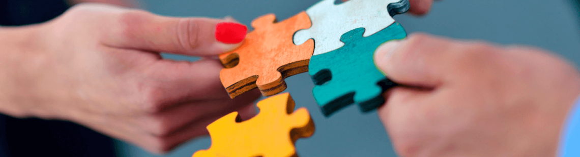 Manual da Cultura da Apiki. Conheça nossos valores!